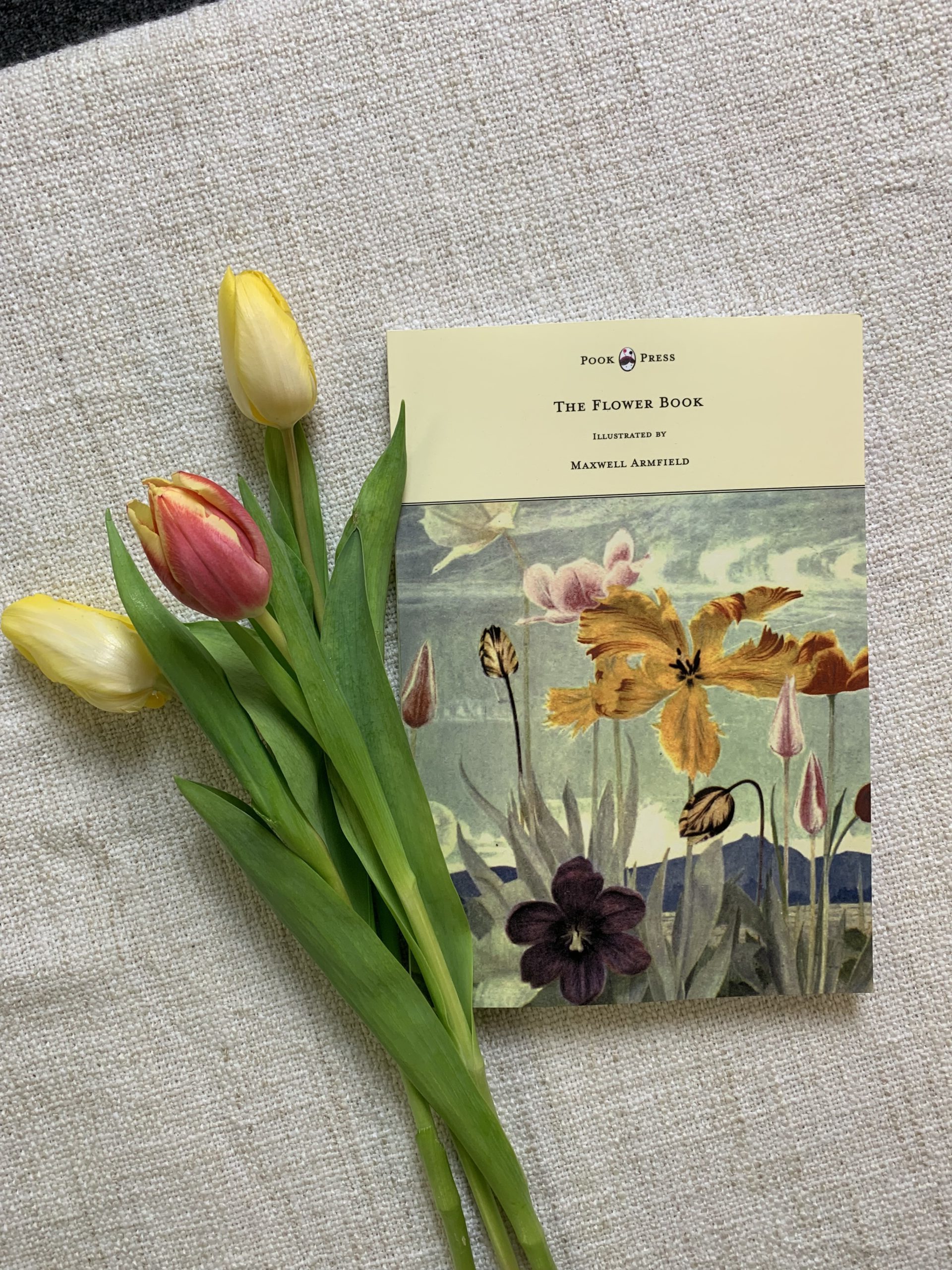 The Flower Book - Illustrated by Maxwell Armfield