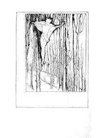 Comus - Illustrated by Arthur Rackham