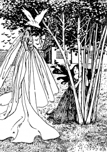 Aschenputtel - The German Cinderella by the Brothers Grimm