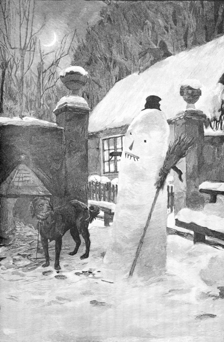 The Snow Man - A Hans Christian Andersen Tale | Pook Press