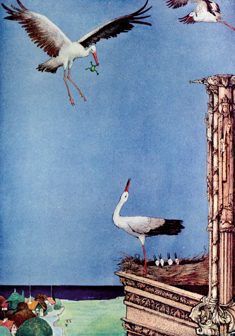 The Storks - Hans Christian Andersen | Pook Press