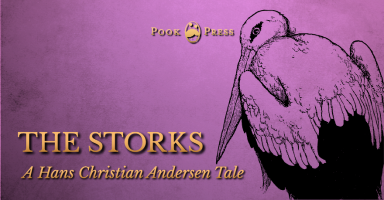 The Storks - Hans Christian Andersen | Pook Press
