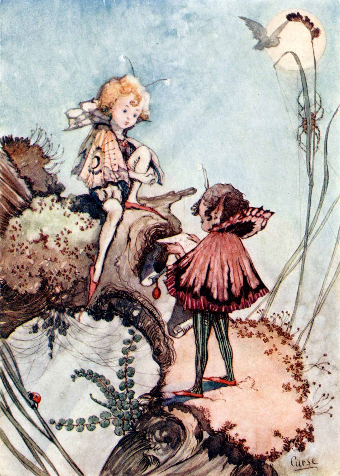Mrs Nightingale's Evening Party - A Story from Fairy Land | Pook Press