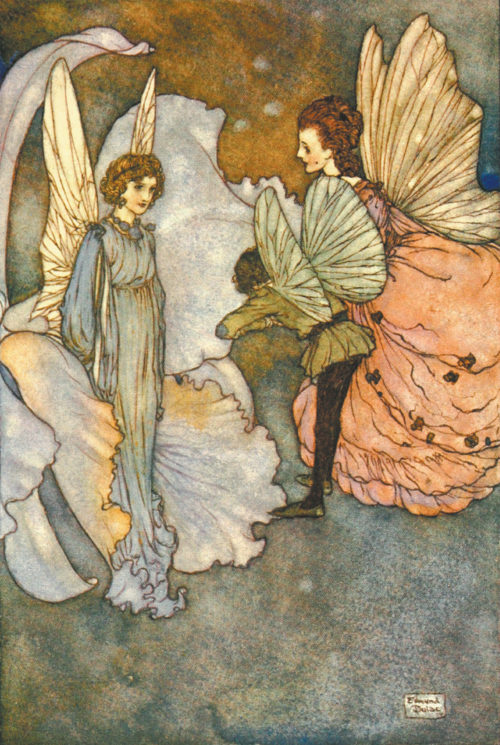 Beautiful Fairy Books for Fairy Day | Pook Press