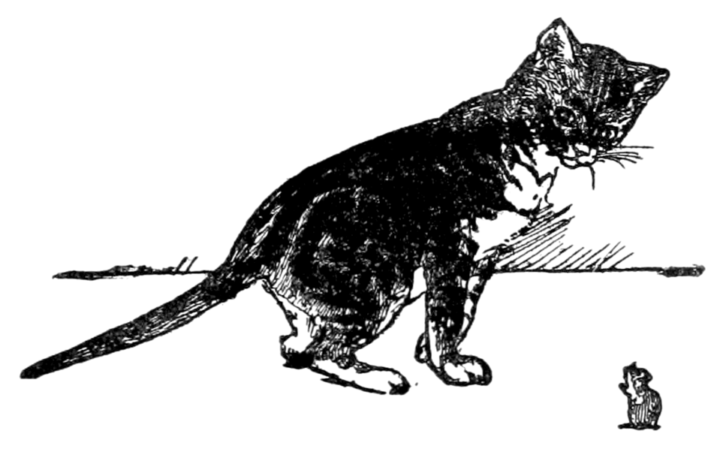 Cat Fairy Tales – 9 Stories of Curious Cats and Clever Tricks